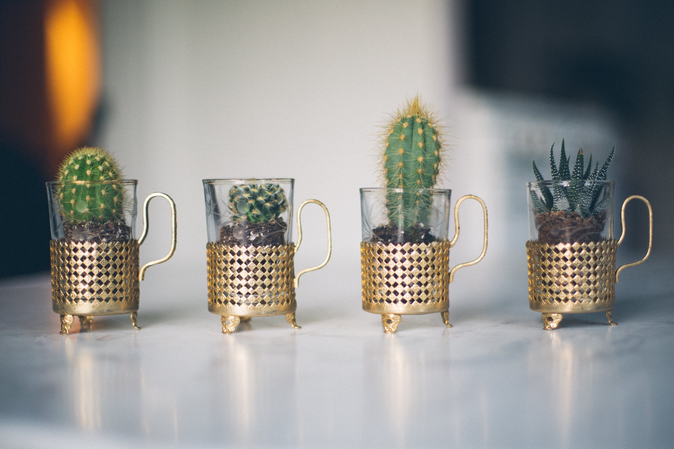 Bouquet of the Month: But First, Cacti – Mr. Kate