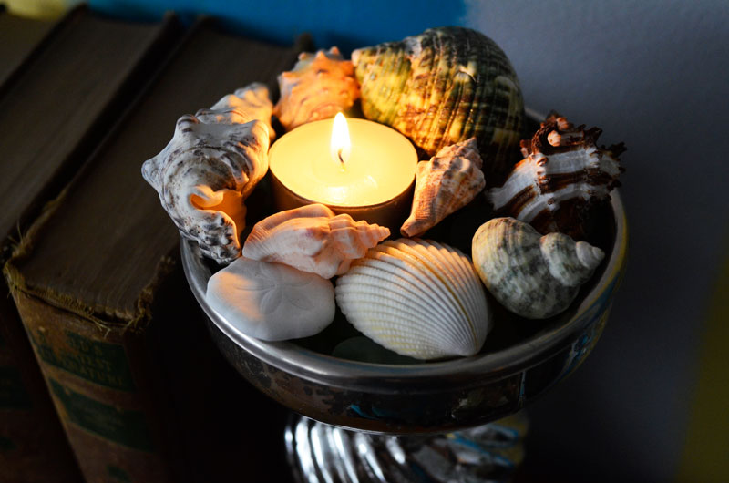 how to display: rock collection – Mr. Kate