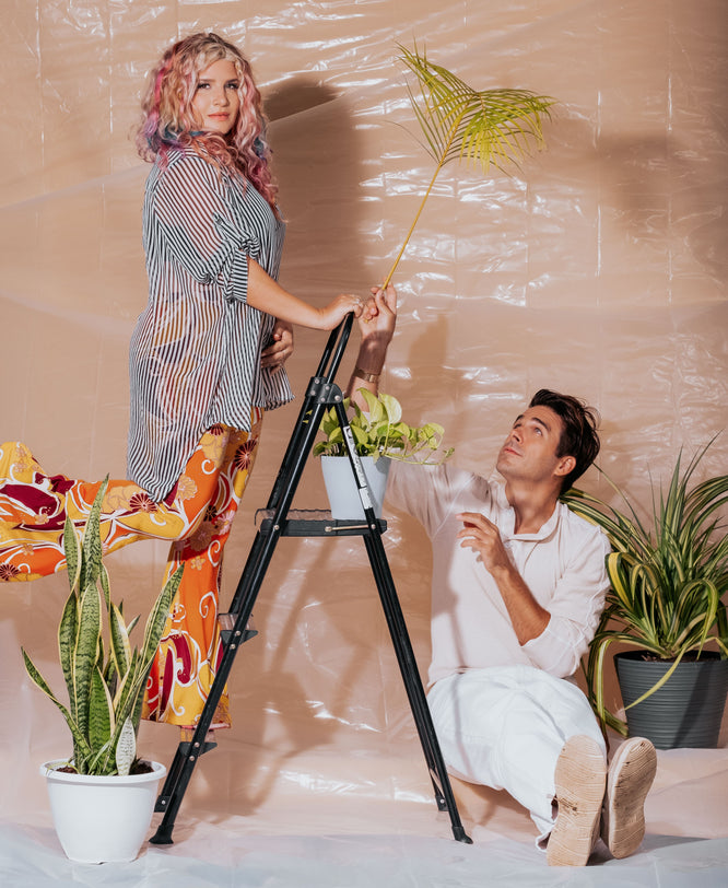 Because Why Not? – Mr. Kate