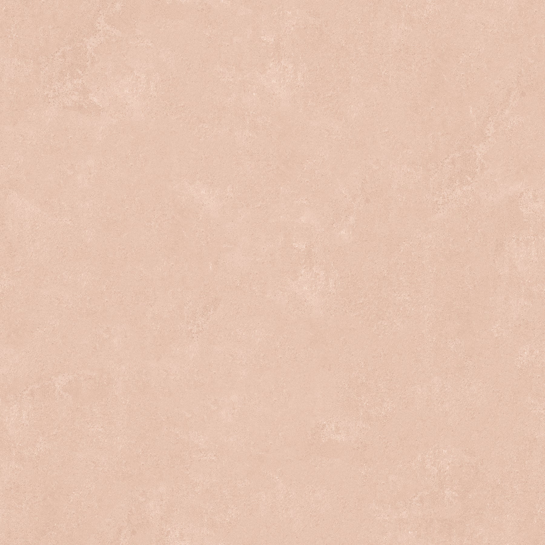 Mr. Kate - MAKE HOME your favorite place!