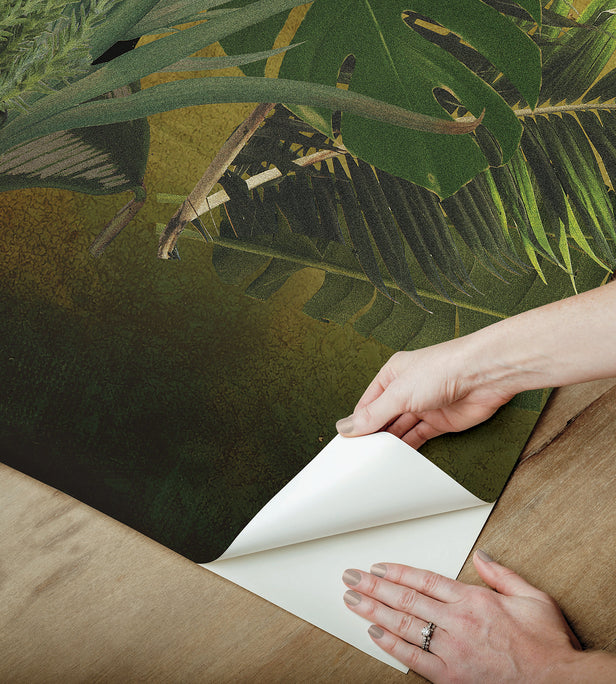 Wall Coverings – Mr. Kate